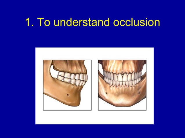 mandibular movements | PPT | Dental Health | Diseases and Conditions