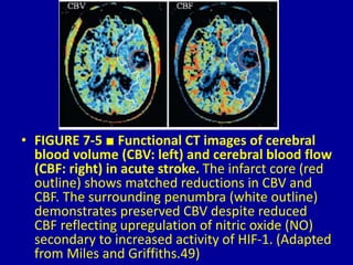 7 Functional, Physiological and Molecular Imaging Dr. Muhammad Bin ...
