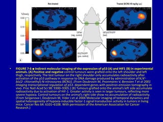 7 Functional, Physiological and Molecular Imaging Dr. Muhammad Bin ...