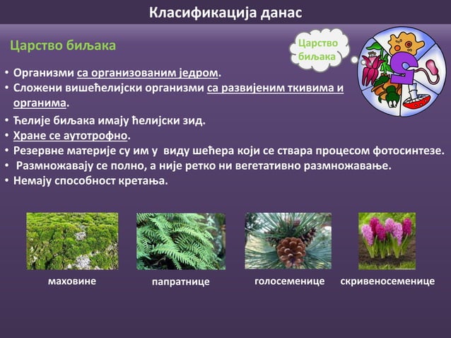 Klasifikacija zivih bica | PPTX