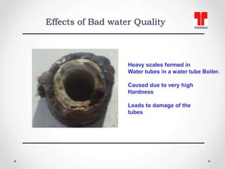 Boiler Maintenance & Safety | PDF