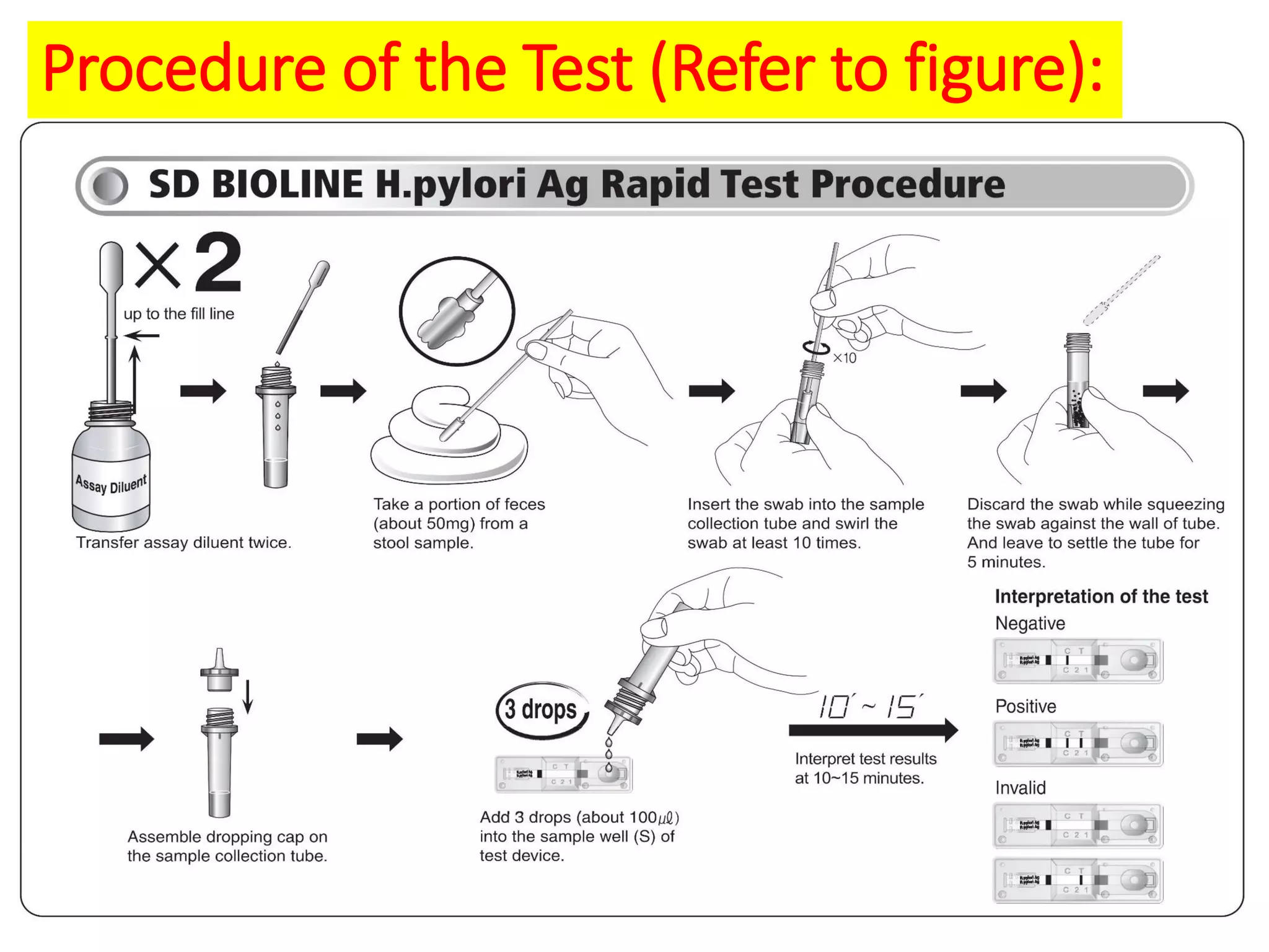 Helicobacter pylori | PDF