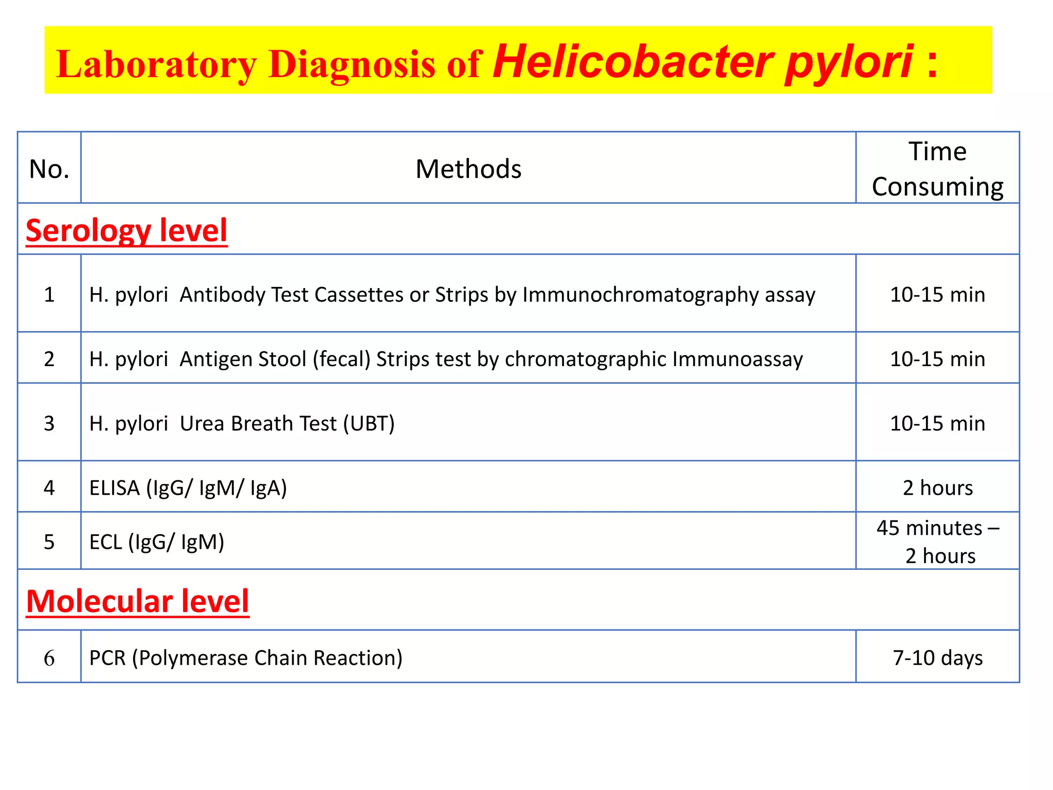 Helicobacter pylori | PDF