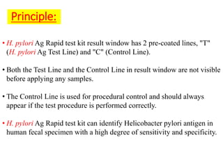 Helicobacter pylori | PDF