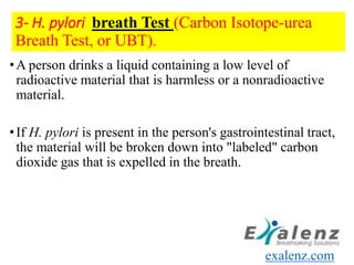 Helicobacter pylori | PDF