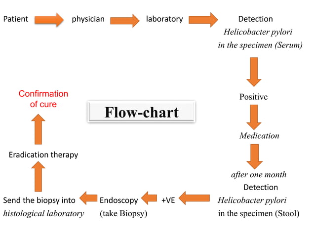 Helicobacter pylori | PDF