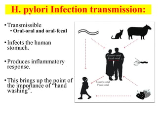 Helicobacter pylori | PDF