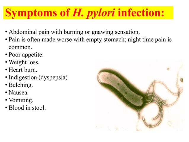Helicobacter pylori | PDF
