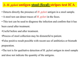 Helicobacter pylori | PDF