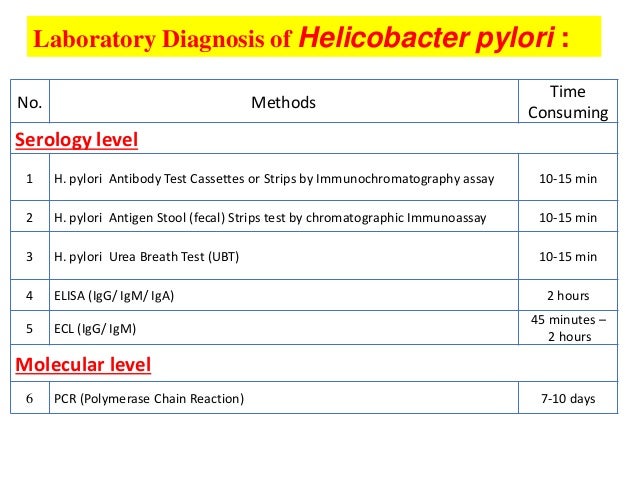Helicobacter pylori