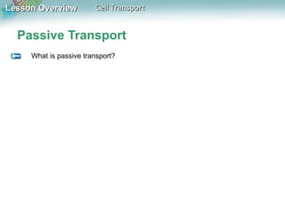 7.3 cell transport | PPT