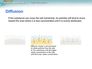 7.3 cell transport | PPT