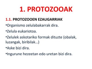 7.gaia.protistoen erreinua | PPT