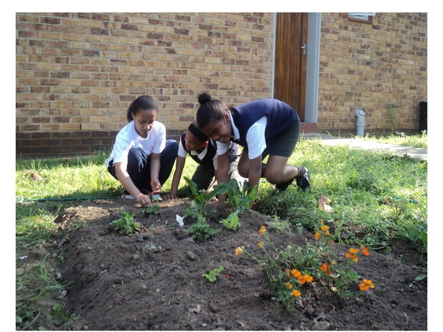 Marshall Rinquest | PPT