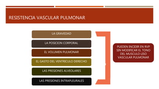 Perfusion Pulmonar | PPTX