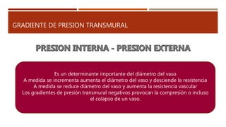 Perfusion Pulmonar | PPTX