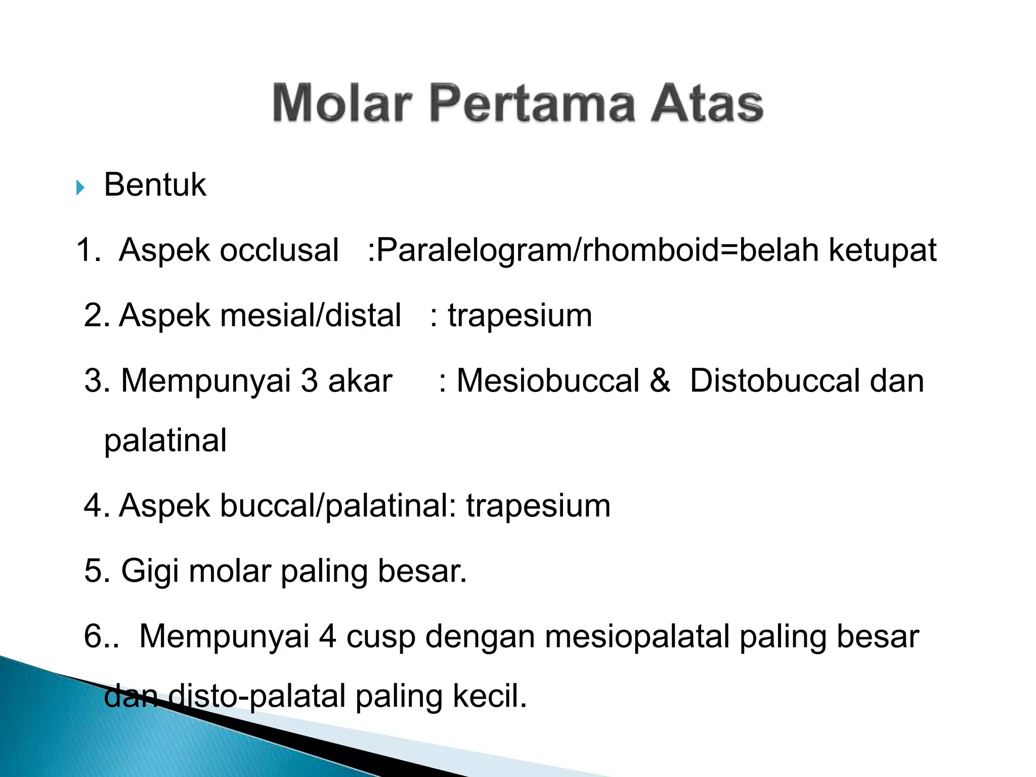 7. anatomi gigi molar 1 atas & bawah | PPTX