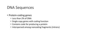 7.1 dna structure and replication | PPT