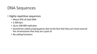 7.1 dna structure and replication | PPT
