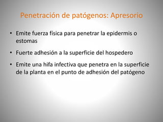 ¿Cómo atacan los patógenos a las plantas? | PDF