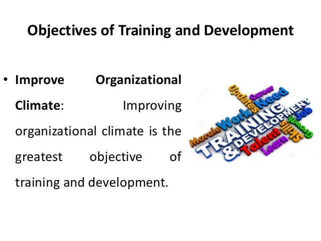 Objectives Of Training And Development Manu Melwin Joy objectives-of-training-and-development-manu-melwin-joy