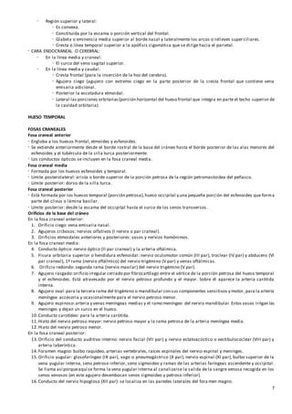 7. craneo | DOCX
