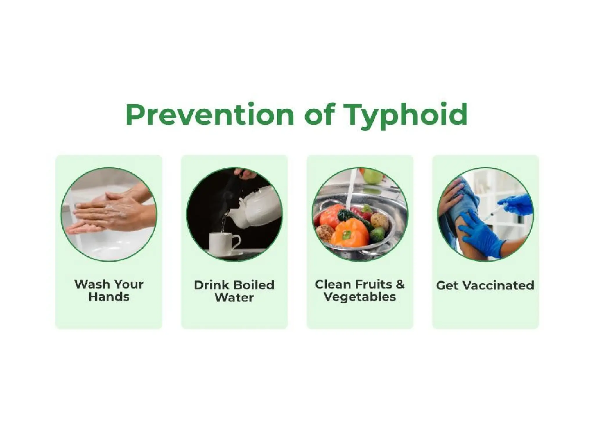 typhoid fever full notes with explanation | PPTX