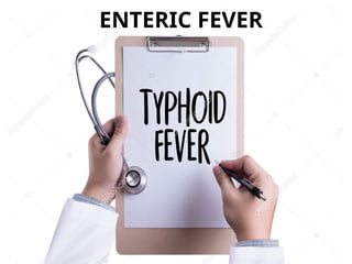 typhoid fever full notes with explanation | PPTX