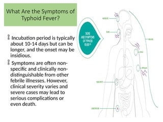 typhoid fever full notes with explanation | PPTX
