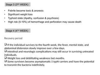 typhoid fever full notes with explanation | PPTX