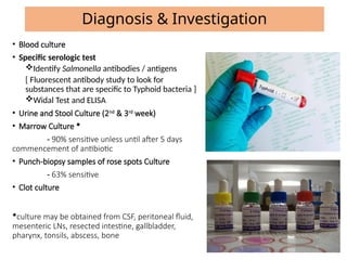 typhoid fever full notes with explanation | PPTX