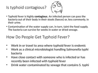 typhoid fever full notes with explanation | PPTX