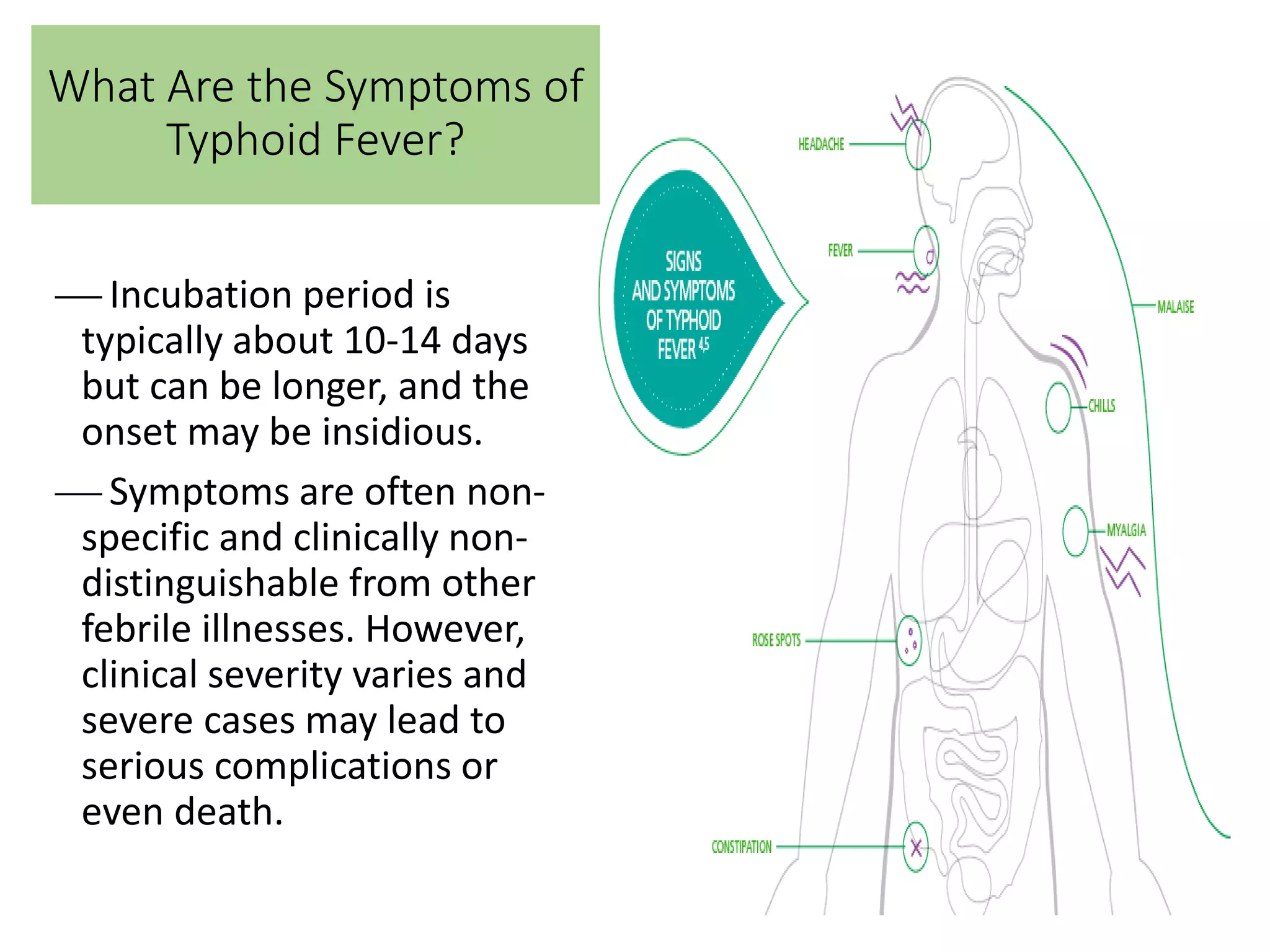 Enteric fever (typhoid fever) | PPTX