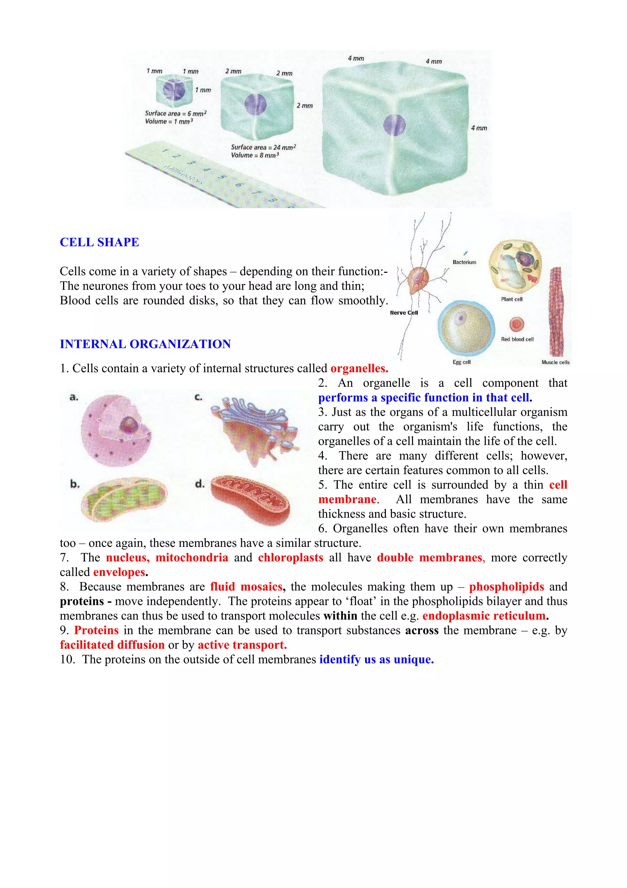 7. cell structure and function | PDF