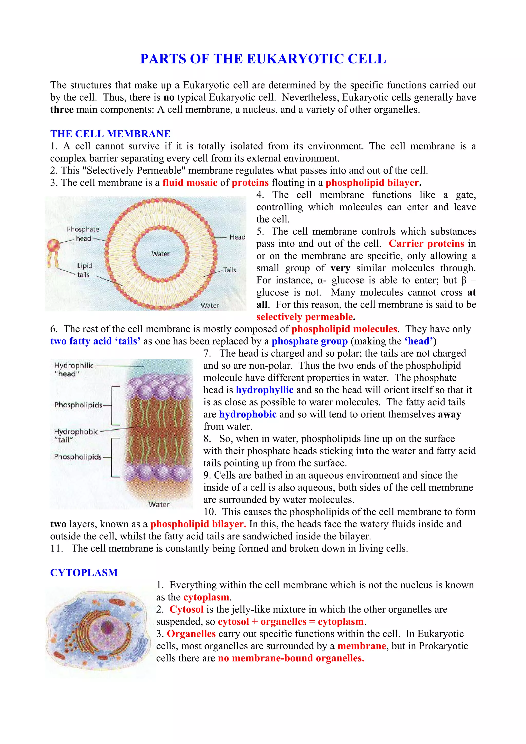 7. cell structure and function | PDF