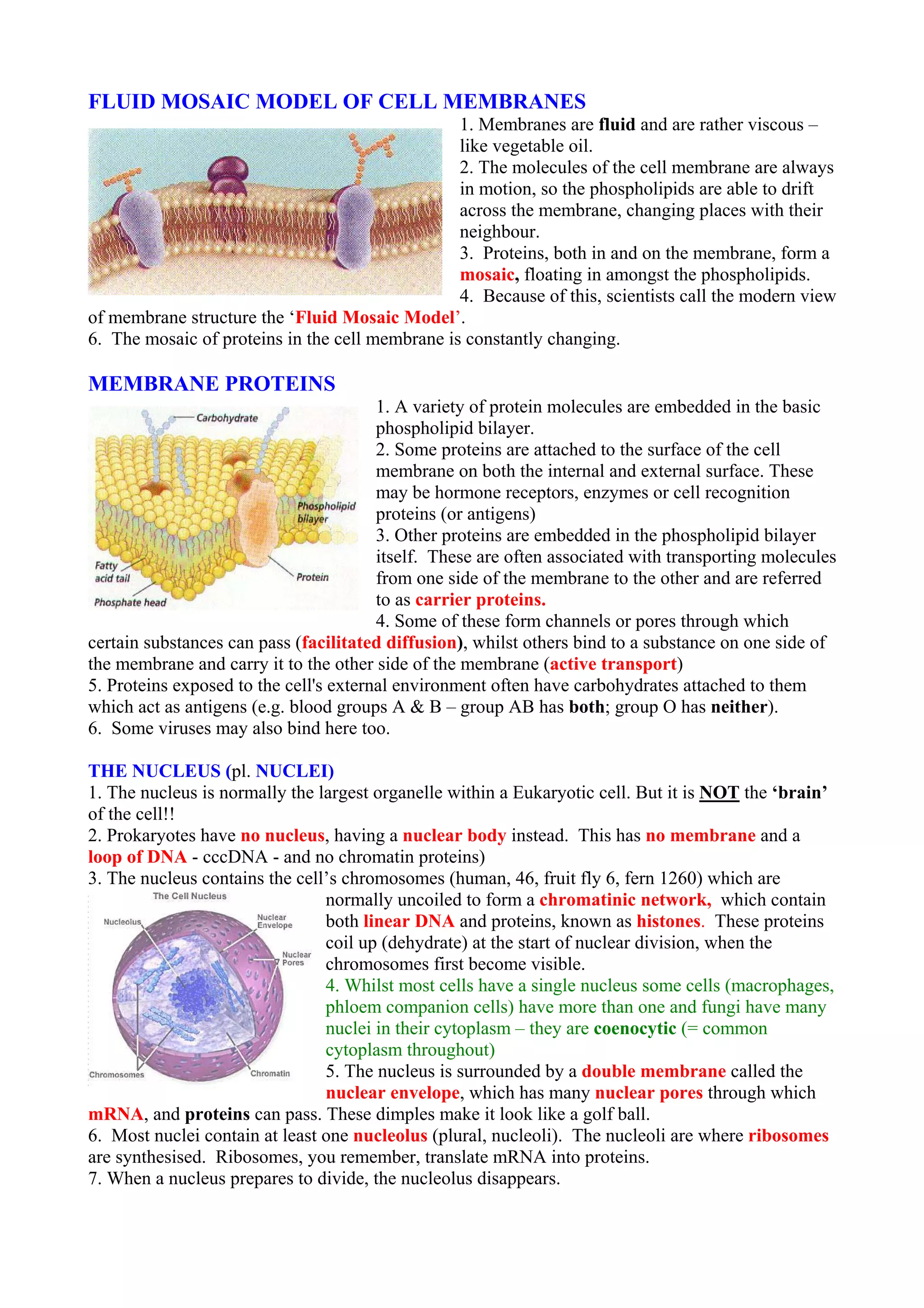 7. cell structure and function | PDF