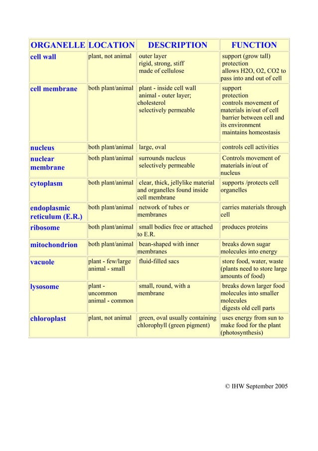 7. cell structure and function | PDF