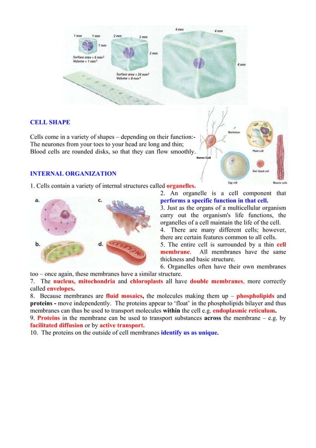 7. cell structure and function | PDF