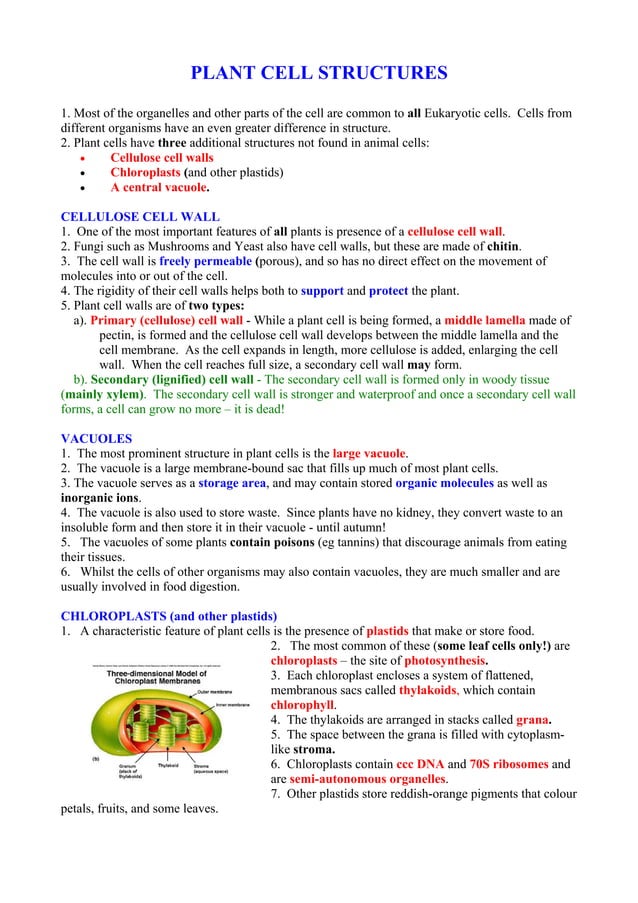 7. cell structure and function | PDF