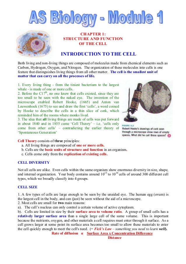 Chapter 7 Cell Structure And Function Concept Map - Map