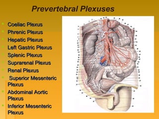 Nerves of abdominal cavity & pelvis | PPT
