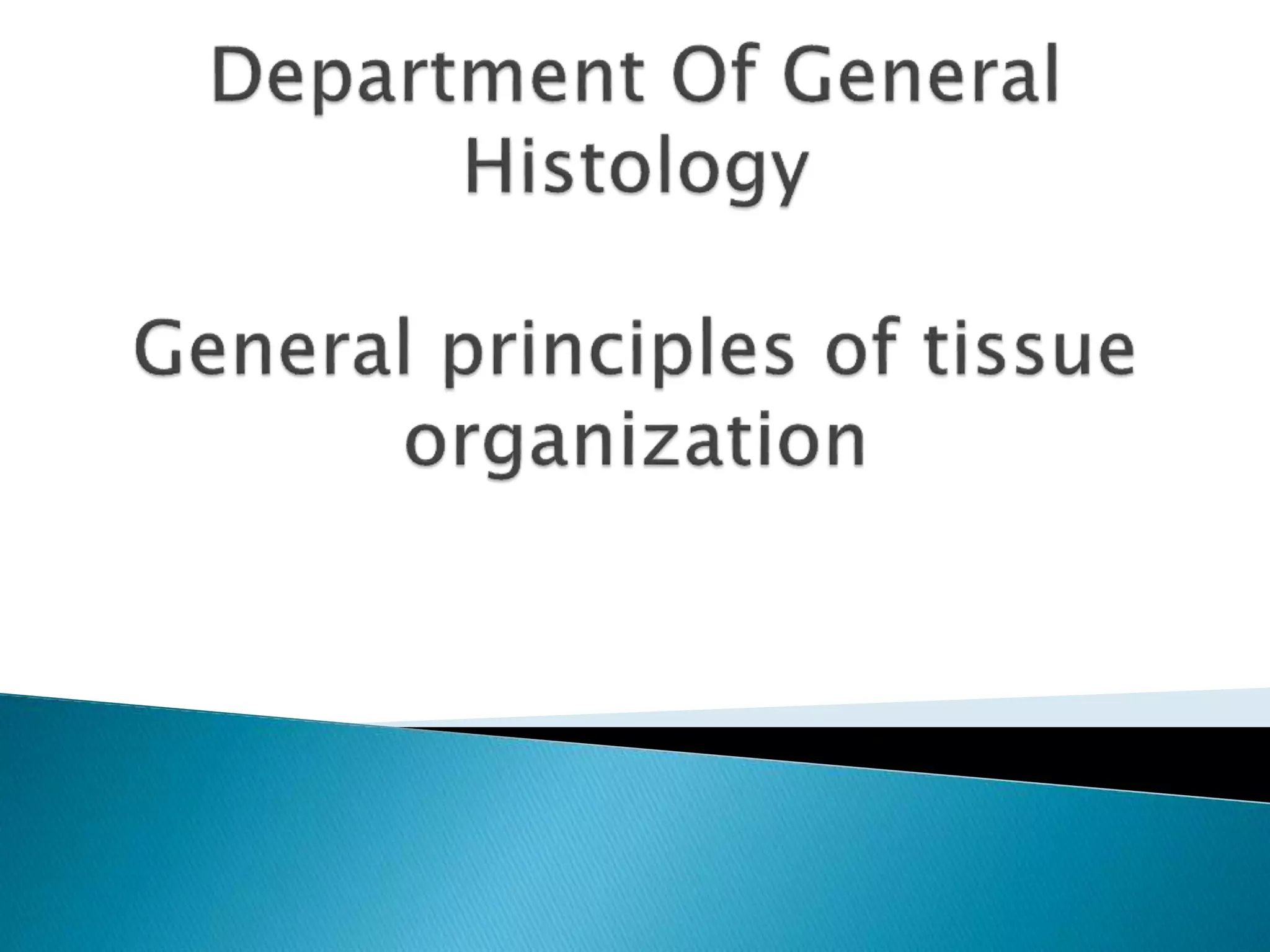 General principles of tissue organization | PPTX