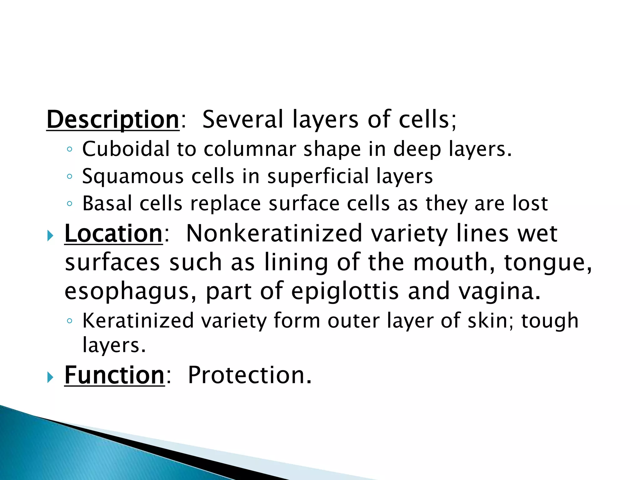General principles of tissue organization | PPT
