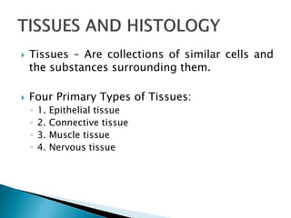 General principles of tissue organization | PPTX
