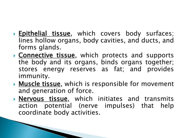 General principles of tissue organization | PPT