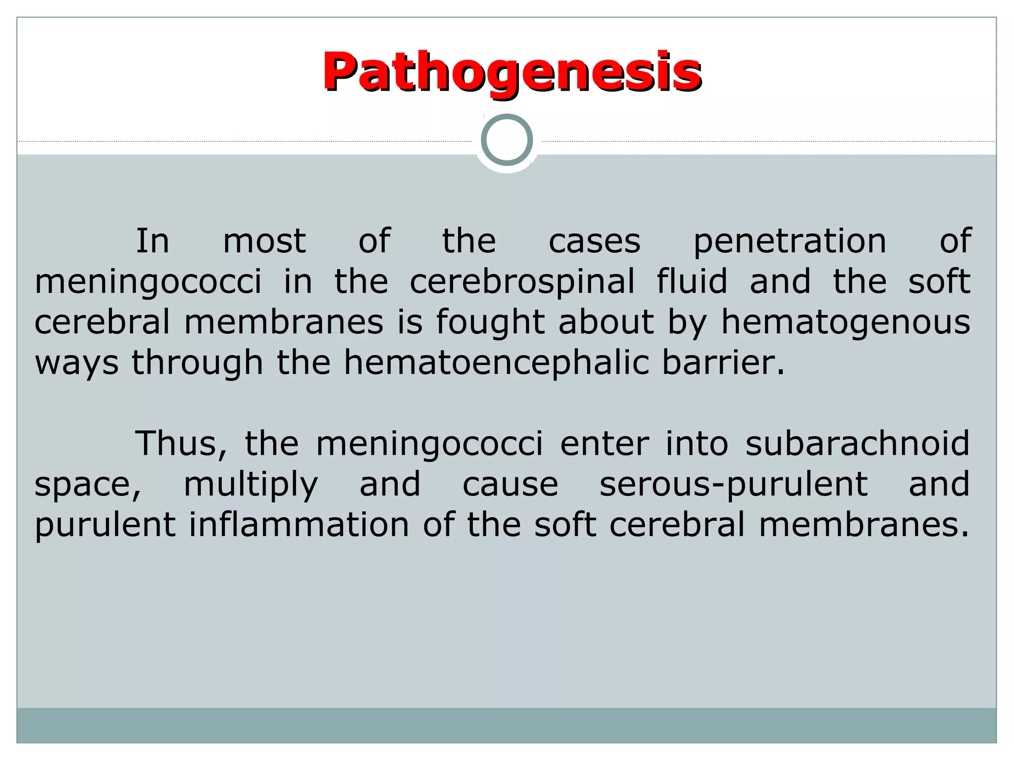 Meningococcal infection | PPT | Infectious Diseases | Diseases and ...