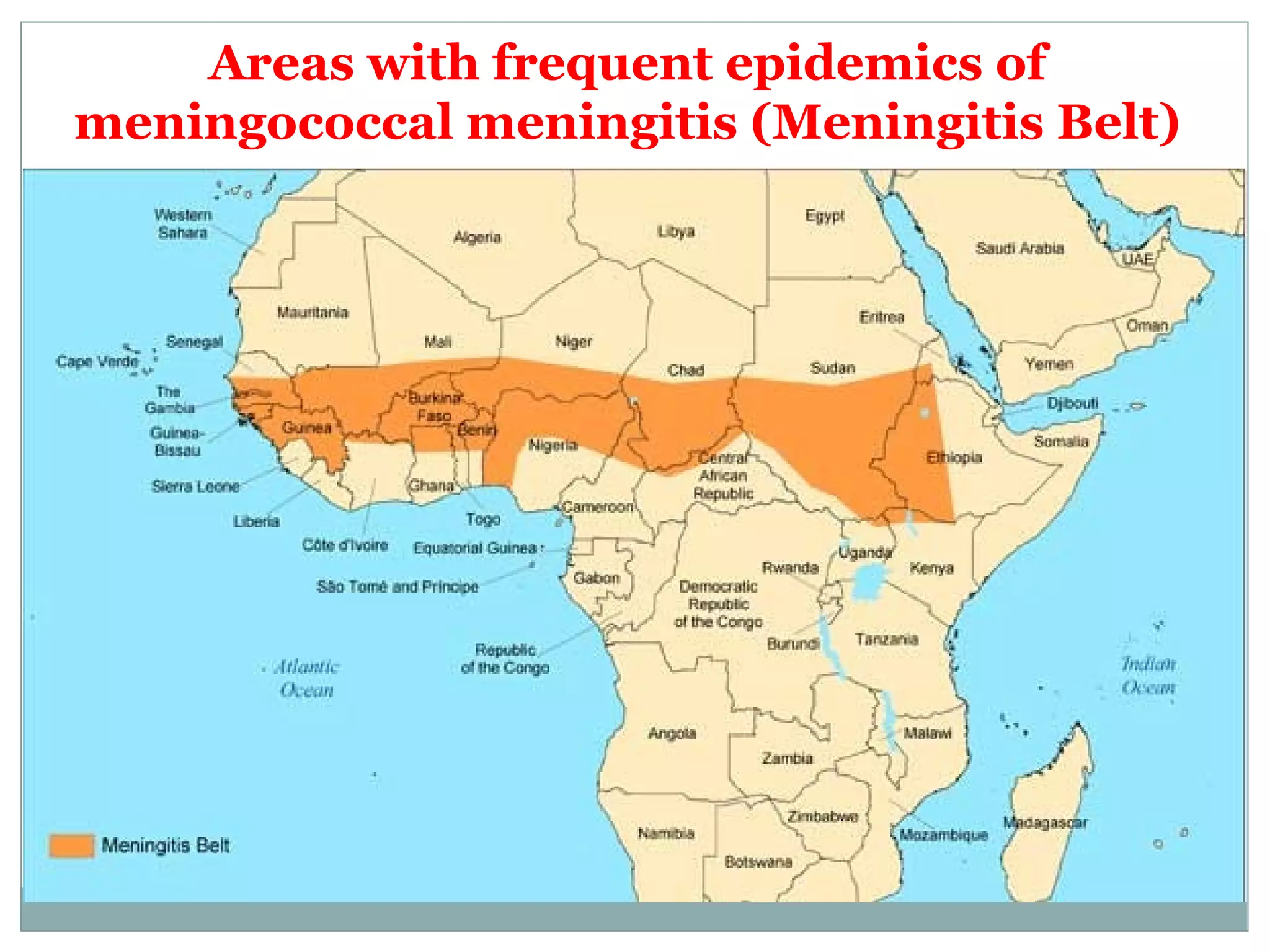 Meningococcal infection | PPT
