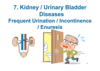 7. kidney urinary bladder diseases | PPT