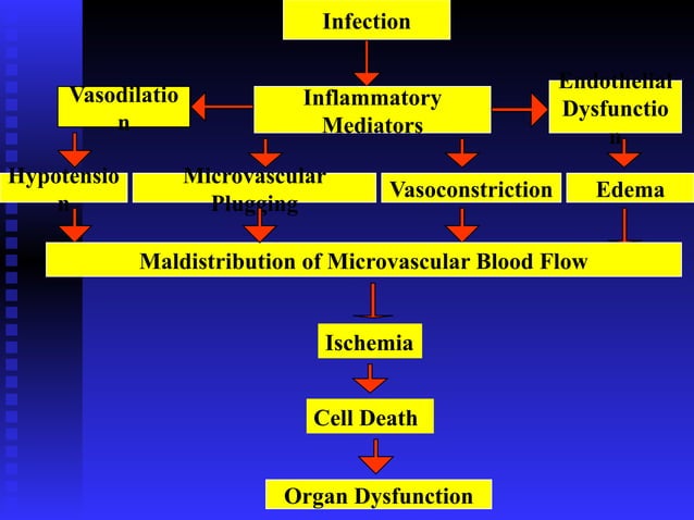 Path physiology of sepsis. SIRS & MOF | PPT