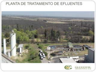 Glucovil - JT15 Conexión Reciclado "Barros y lodos industriales" | PPTX